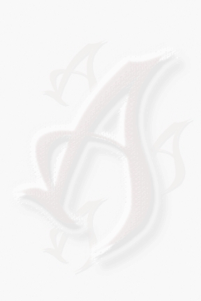 WhiteLogoFInalTr | KC Ambush Fastpitch